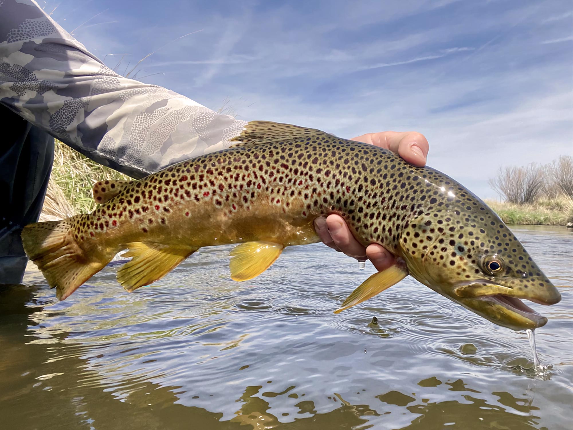 The StoneFly Fly Shop | Fishing Reports – The Stonefly