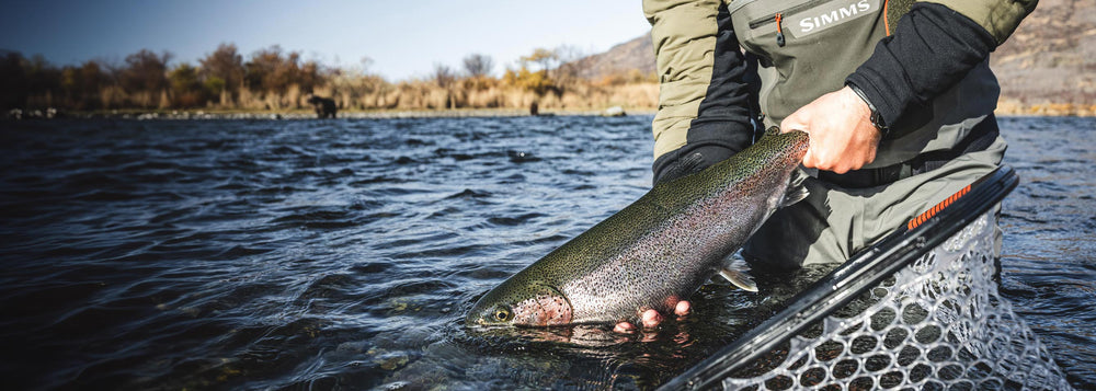 The StoneFly Fly Shop – The Stonefly